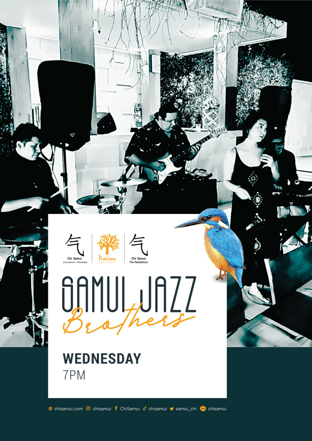 What’s On | Chi Samui