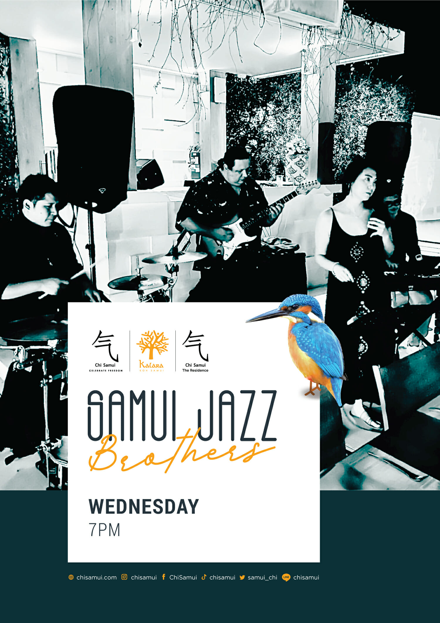 What’s On | Chi Samui